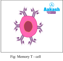 Acquired immunity: Definiton, Types of Immunity and Practice Questions | AESL